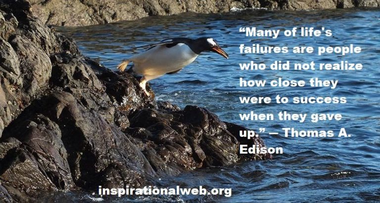 51 Inspirational Fight Back Quotes | Inspirationalweb.org