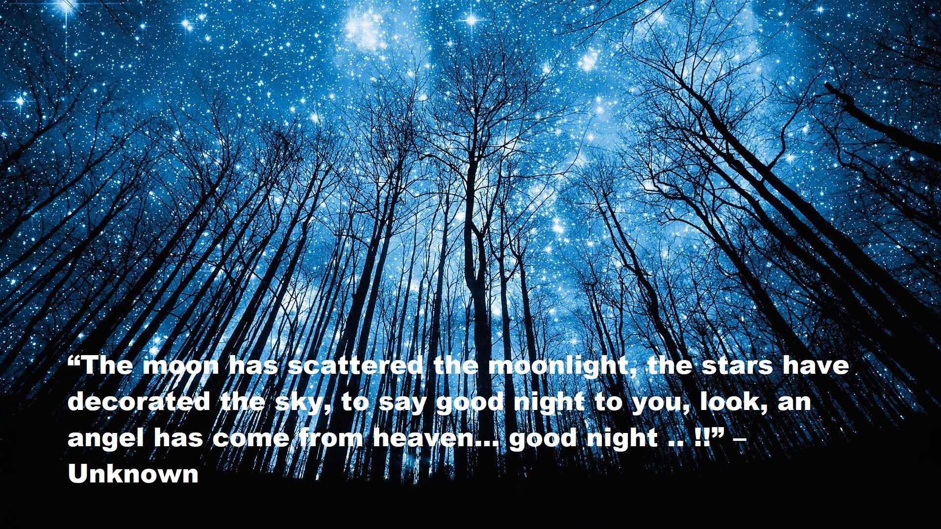 51 Beautiful Good Night Quotes That Will Inspire You | Inspirationalweb.org