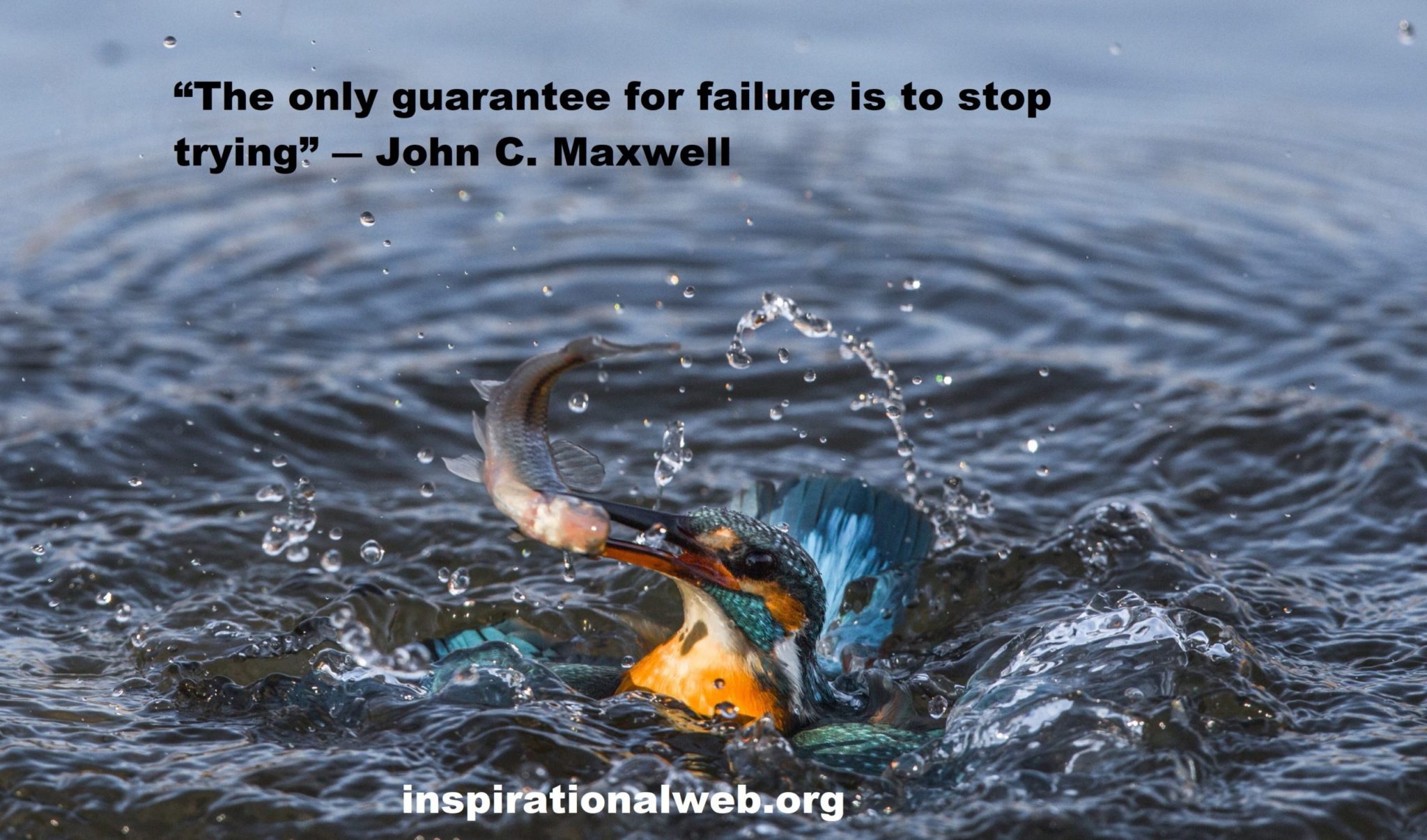 51 Inspirational Fight Back Quotes | Inspirationalweb.org