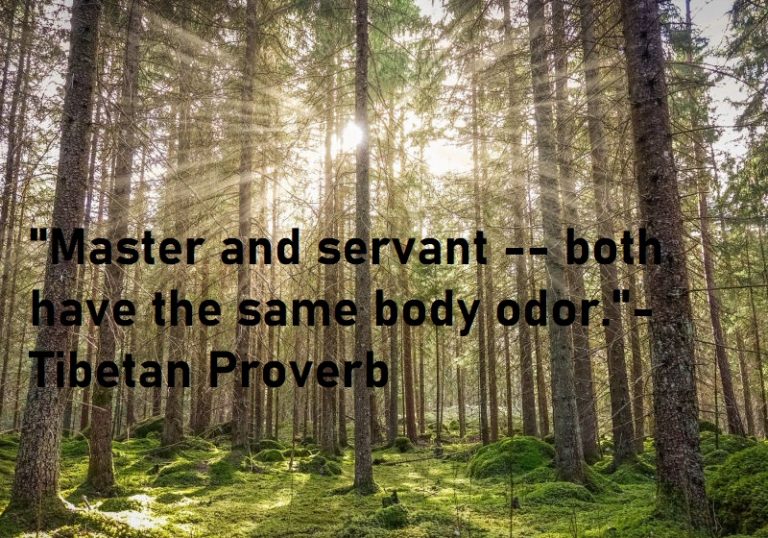 51 Most Popular Tibetan Proverbs So Far | Inspirationalweb.org