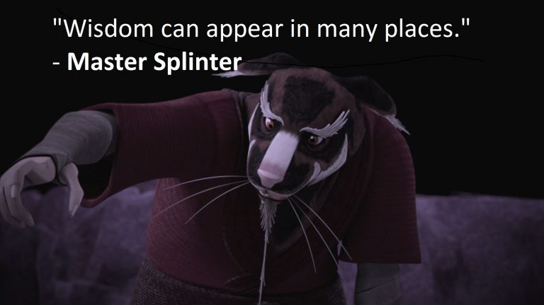 48 Master Splinter Quotes that Leads towards Positivity and Success ...