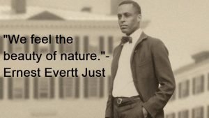 6 Most Inspiring Ernest Everett Just Quotes | Inspirationalweb.org
