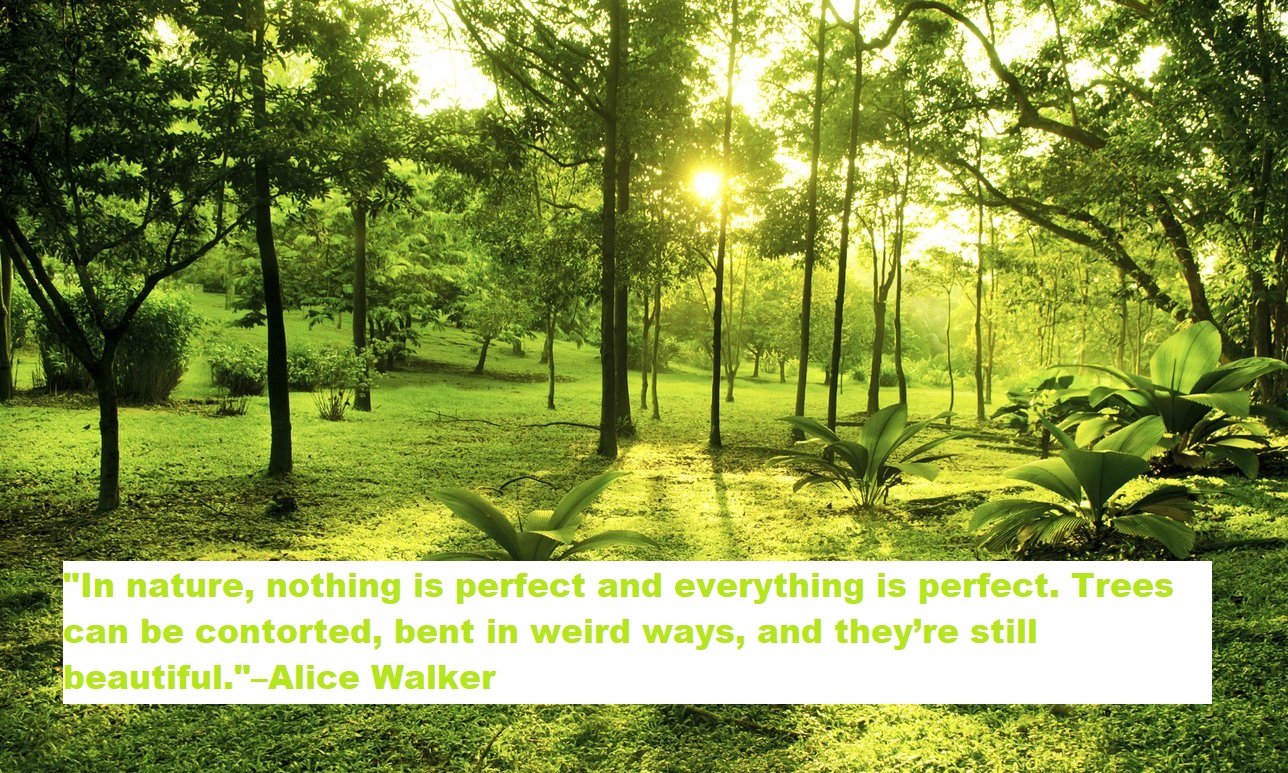 50 Most Inspiring Nature Quotes | Inspirationalweb.org