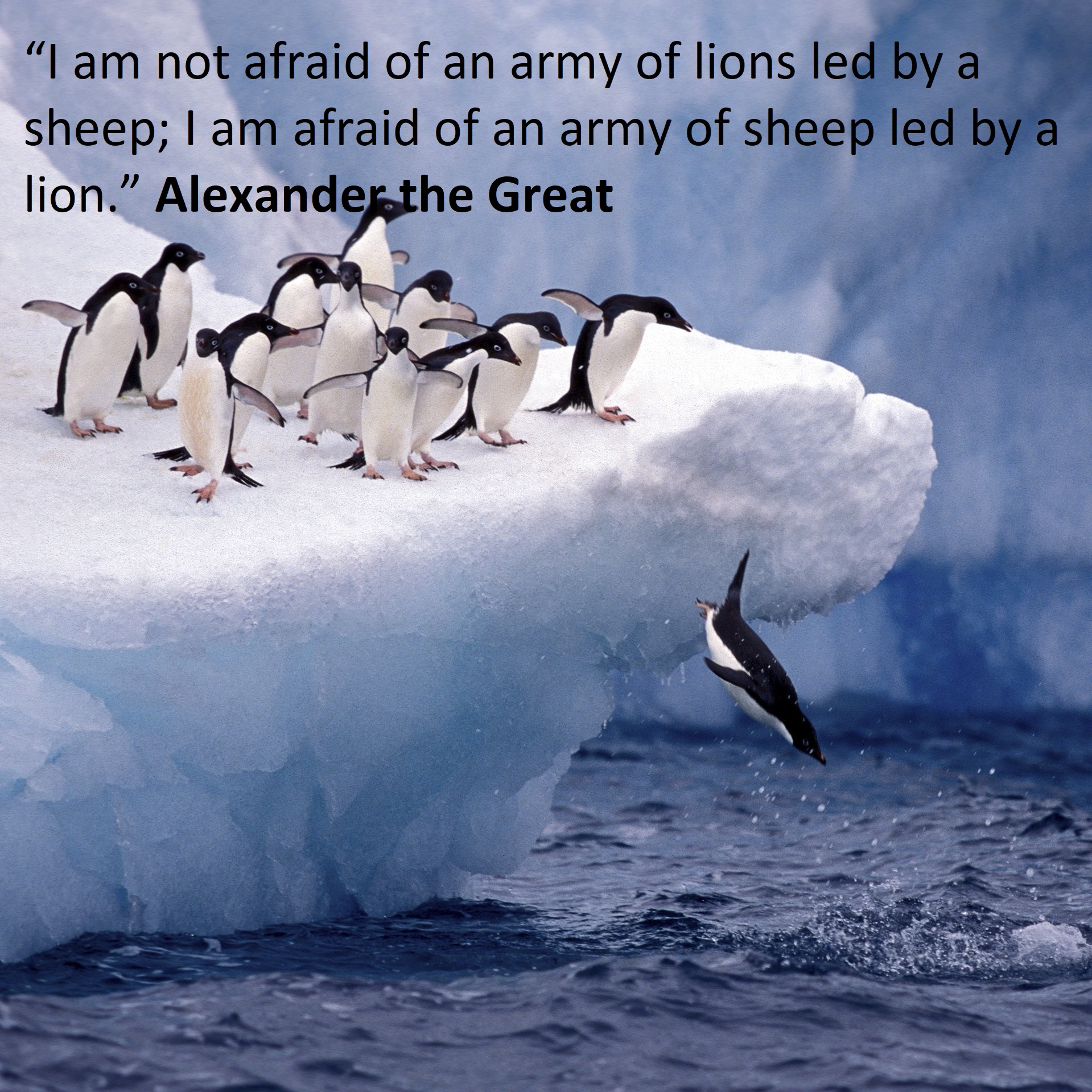 71 Exciting Lead by Example Quotes | Inspirationalweb.org