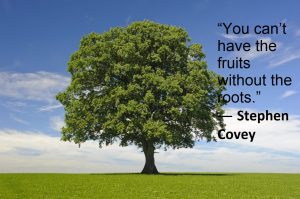 41 Tree Quotes that are Essential for You to Know | Inspirationalweb.org