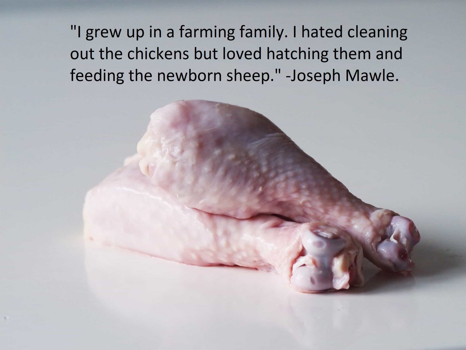 63 Amazing Chicken Quotes, Phrases, and Proverbs | Inspirationalweb.org