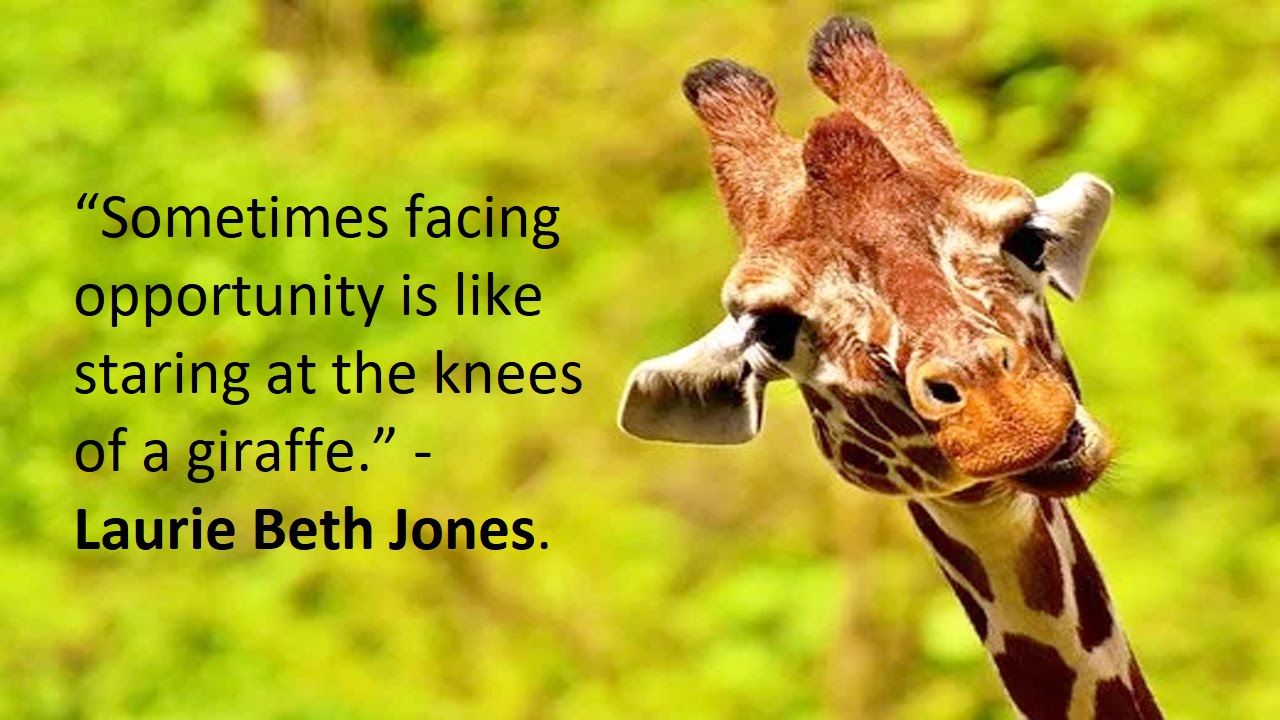 35 Funny Giraffe Quotes and Sayings | Inspirationalweb.org