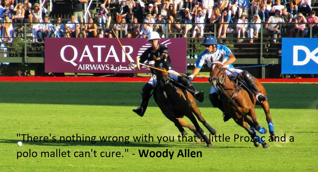 21 Inspirational Polo Quotes to Love Sportsmanship | Inspirationalweb.org