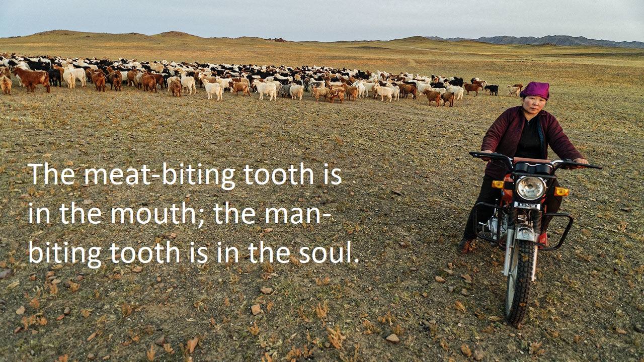 42 Stunning Mongolian Proverbs That Boost Your Knowledge ...