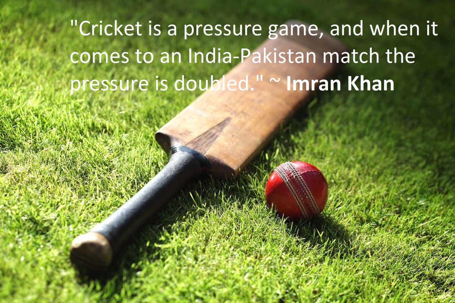 46 Inspiring and Motivational Cricket Quotes from Super Stars ...