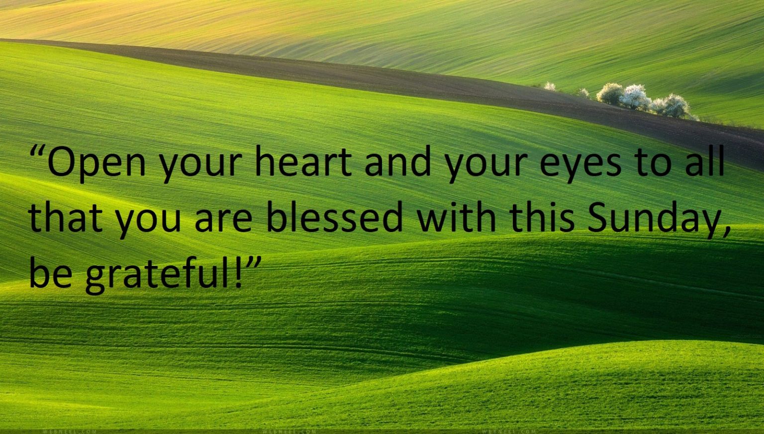 60 Have a Blessed Sunday Quotes and Proverbs | Inspirationalweb.org