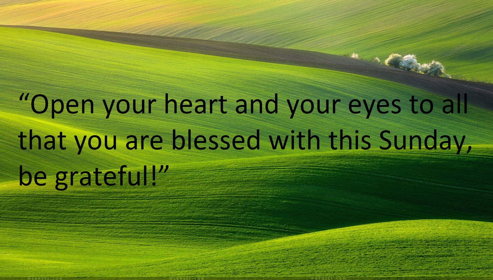 60 Have a Blessed Sunday Quotes and Proverbs | Inspirationalweb.org