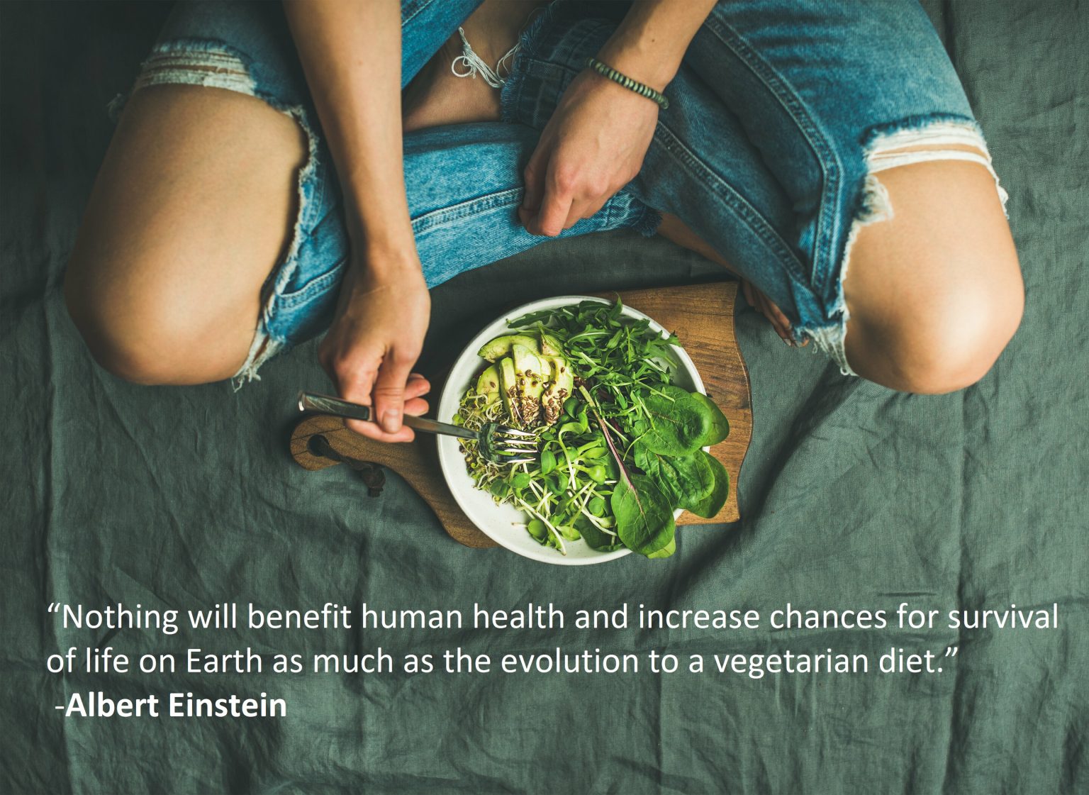 80 Uplifting and Motivational Vegan Quotes and Proverbs ...