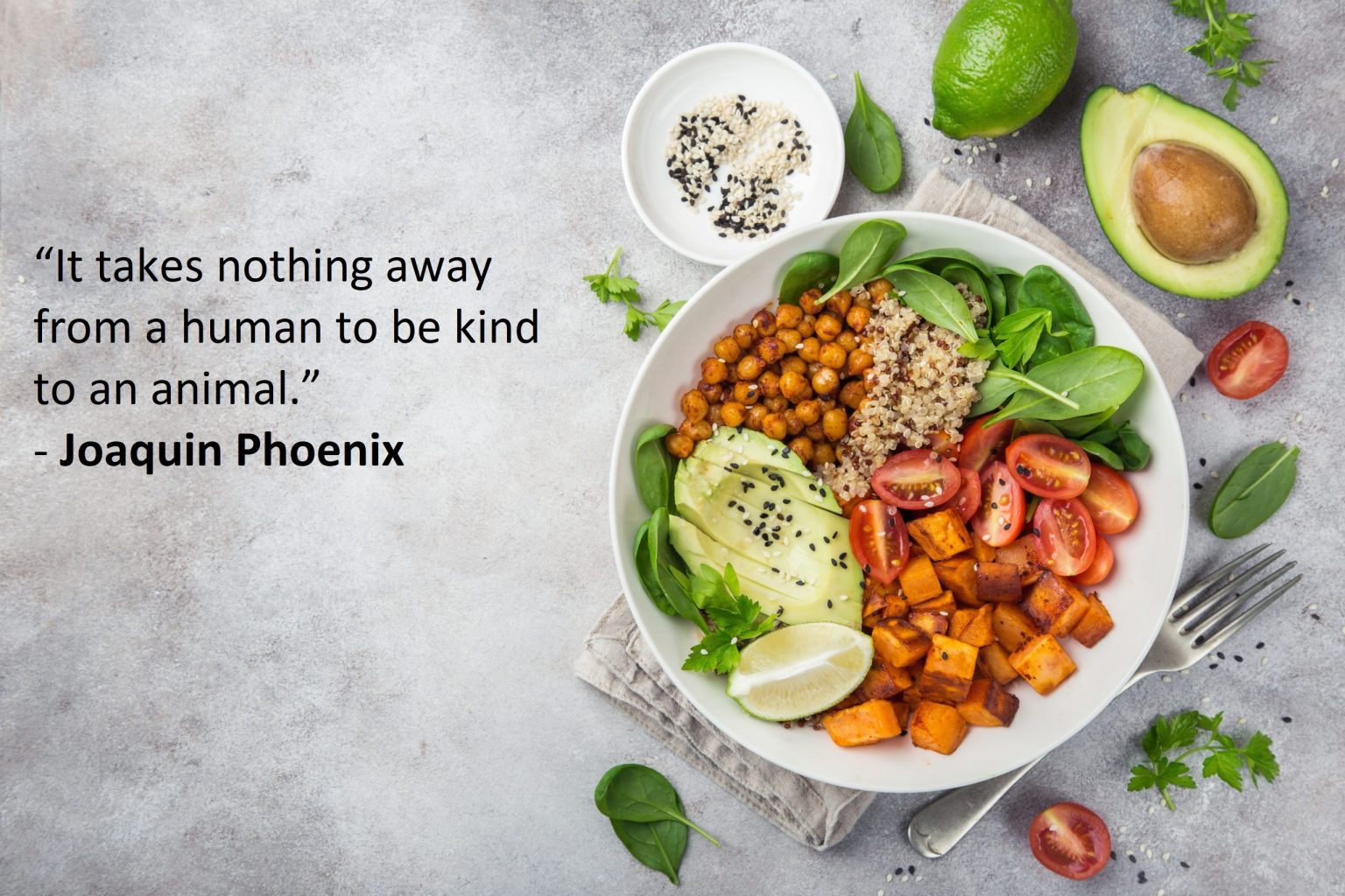 80 Uplifting and Motivational Vegan Quotes and Proverbs ...