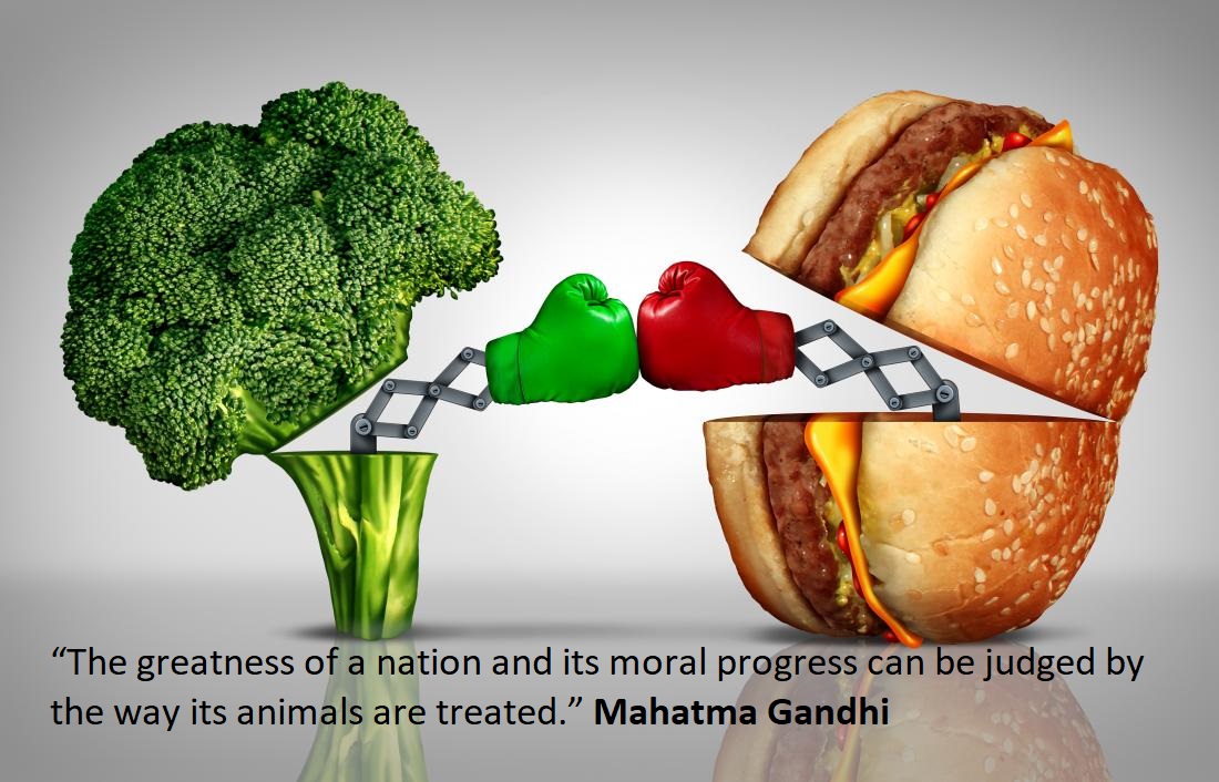 40 Most Exclusive Vegetarian Quotes and Sayings | Inspirationalweb.org