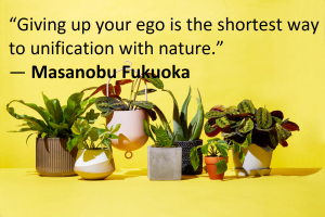 50 Most Healthy and Yummy Quotes about Plants | Inspirationalweb.org