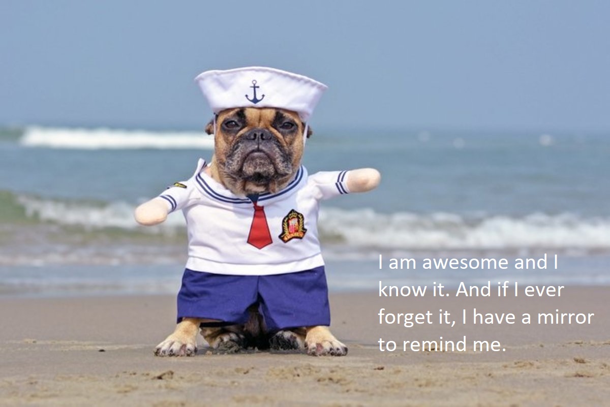 100 Funny Affirmations - That Will Brighten Up Your Day and Improve ...