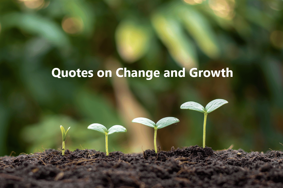 110 Inspirational Quotes About Life and Struggles | Inspirationalweb.org