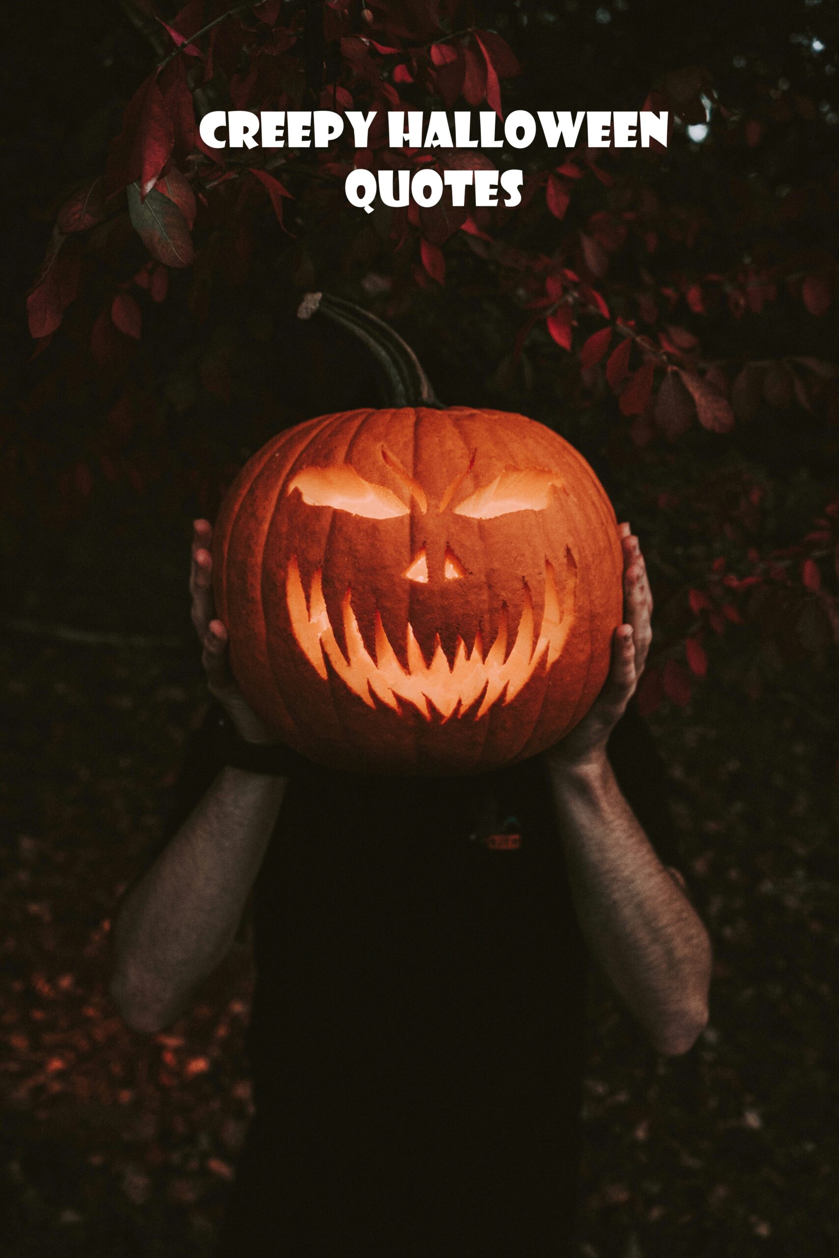 150 Spooky Halloween Quotes to Make Your October Spook ...