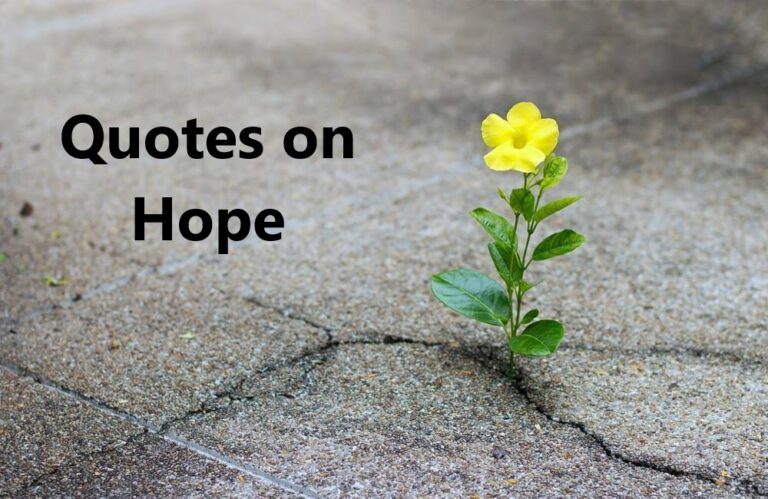 110 Inspirational Quotes About Life and Struggles | Inspirationalweb.org