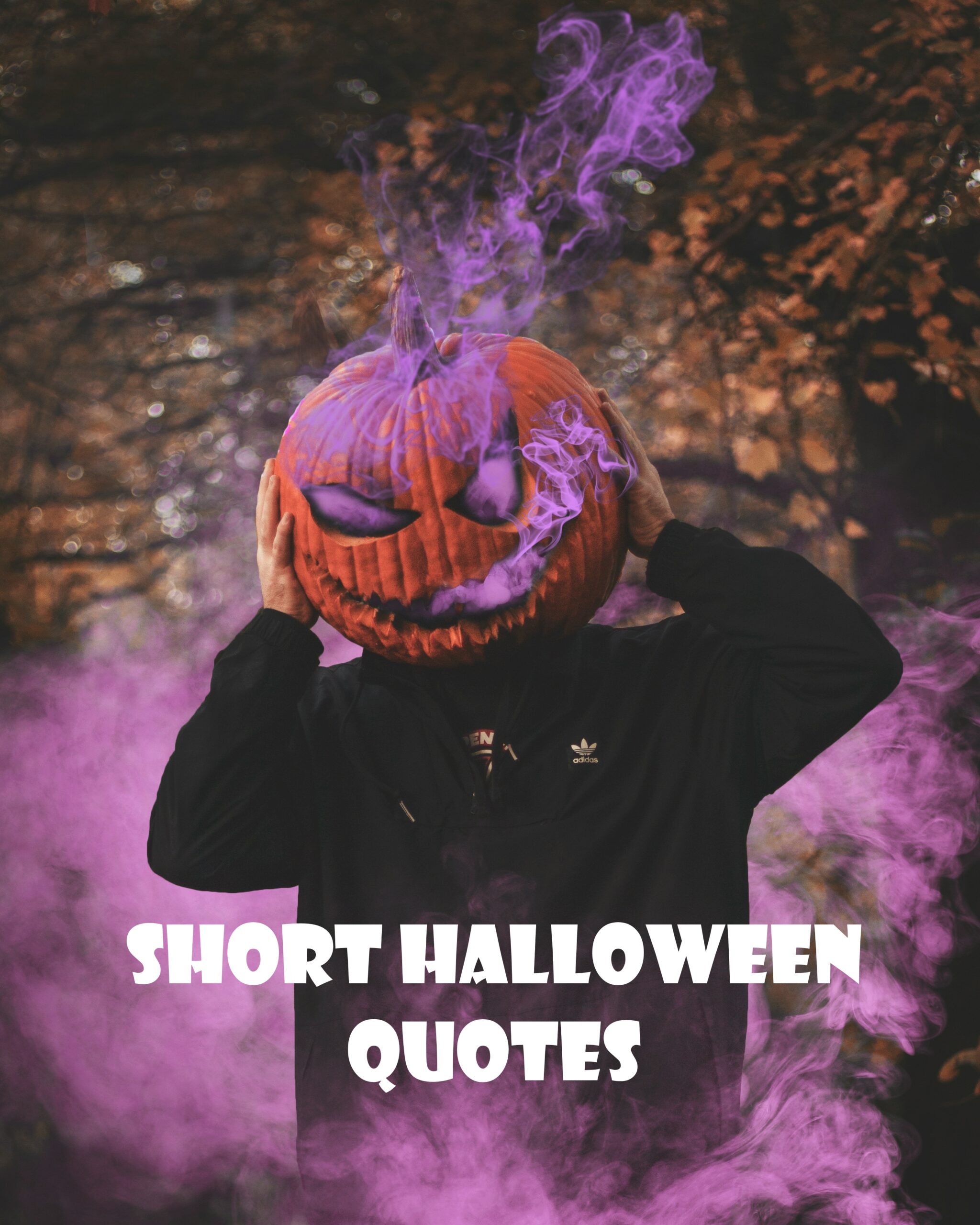 150 Spooky Halloween Quotes to Make Your October Spook ...